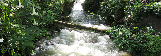 Hydro Power Experts | PNGFP